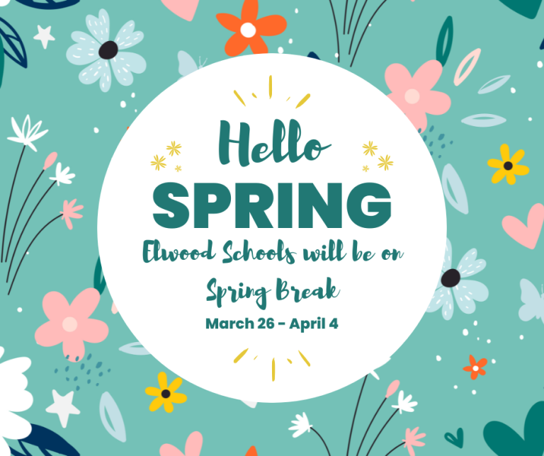 ELWOOD COMMUNITY SCHOOL CORPORATION